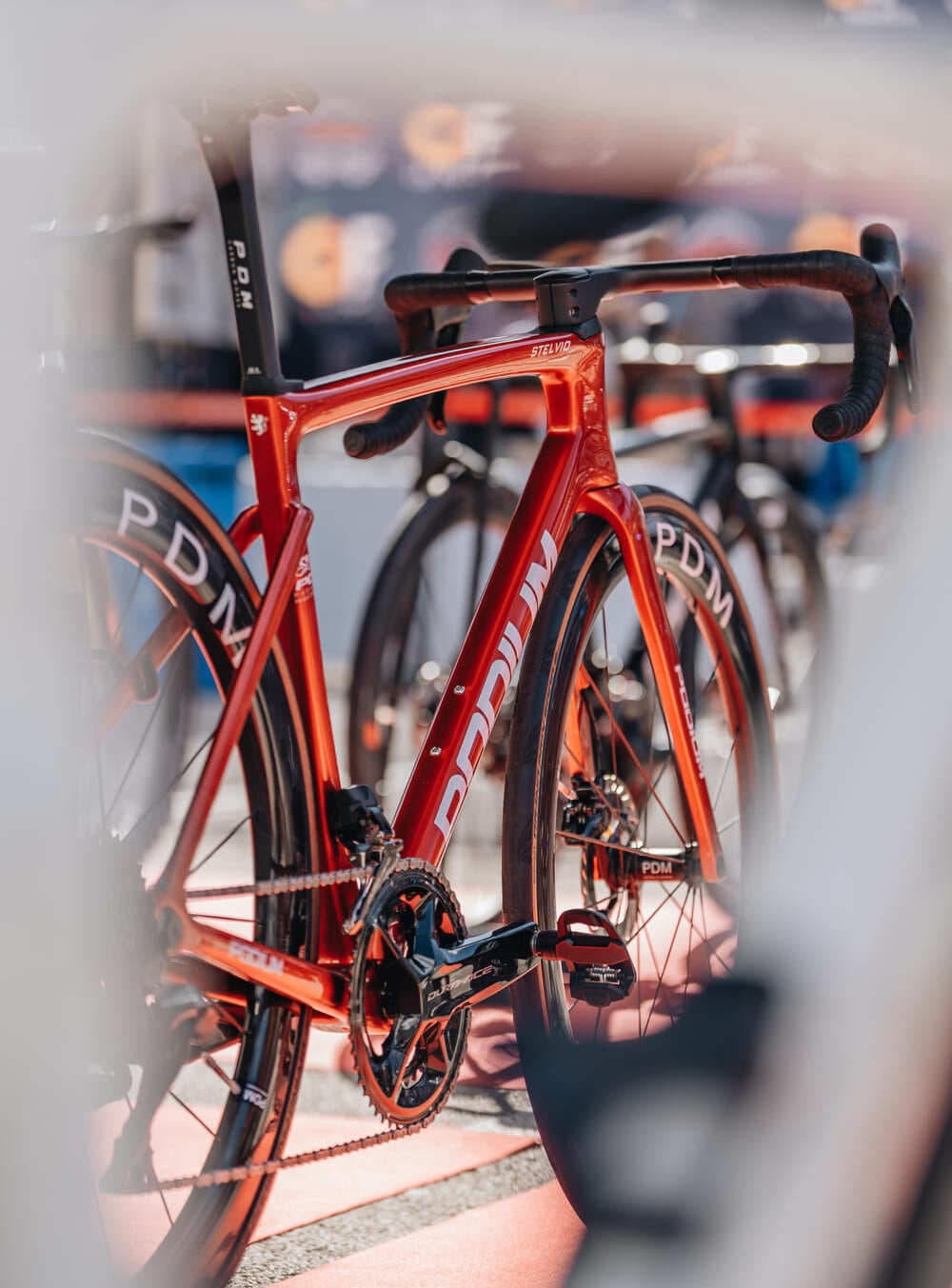 Podium Stelvio, rendimiento y comodidad sin límites | Podium bike